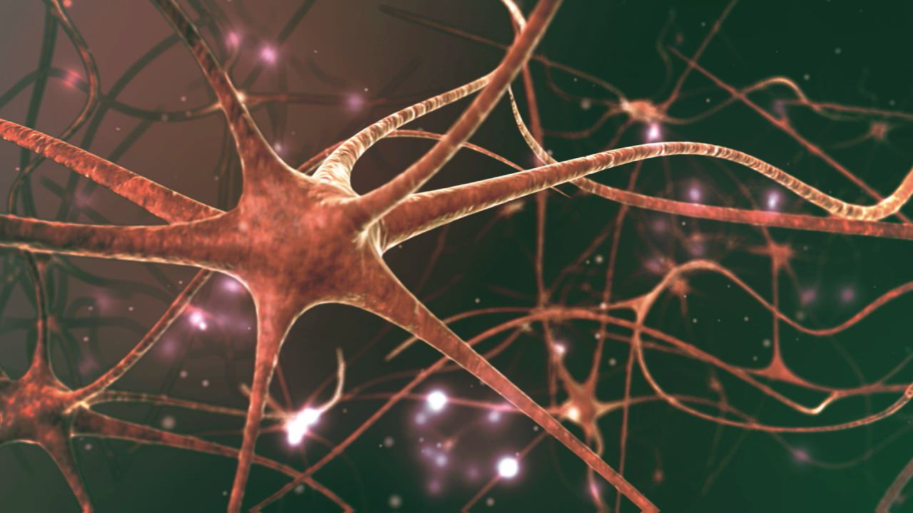 Mindconnect Online Testing Platform - Powered by Mindmuzik Media